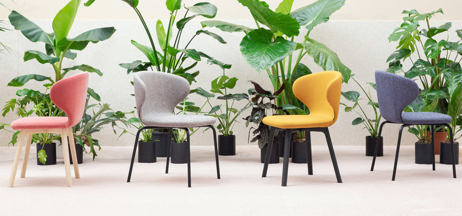 Miniforms Chairs - crafted for dining, lounge, & contract spaces